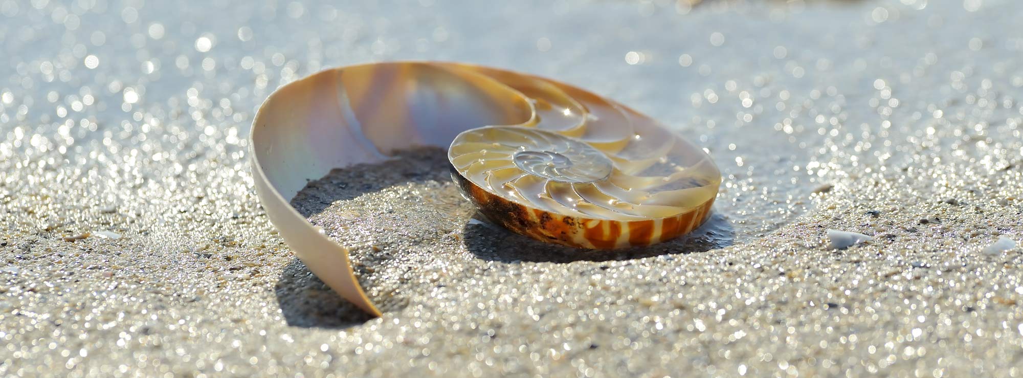 What is OMM? - Pacific Coast Osteopathy